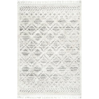 nuLOOM Skylar Textured Trellis Tasseled Accent Rug, 3' x 5', Beige ...