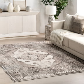 9x7 Area Rug