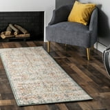 nuLOOM Lenore Vintage Floral Area Rug, 2' 6" x 14', Runner, Lenore ...