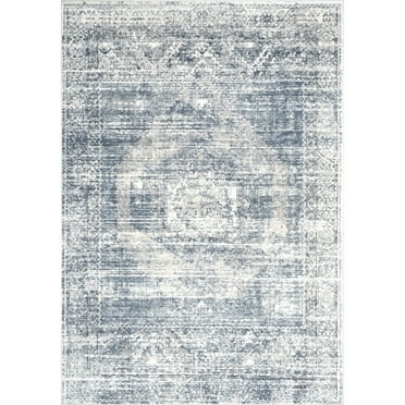 SAFAVIEH Amelia Alastar Abstract Distressed Area Rug, Grey/Blue, 5'3" x ...