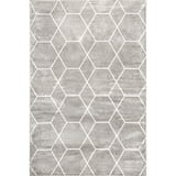 nuLOOM Veronica Geometric Honeycomb Area Rug, 4' 3" x 6', Grey ...