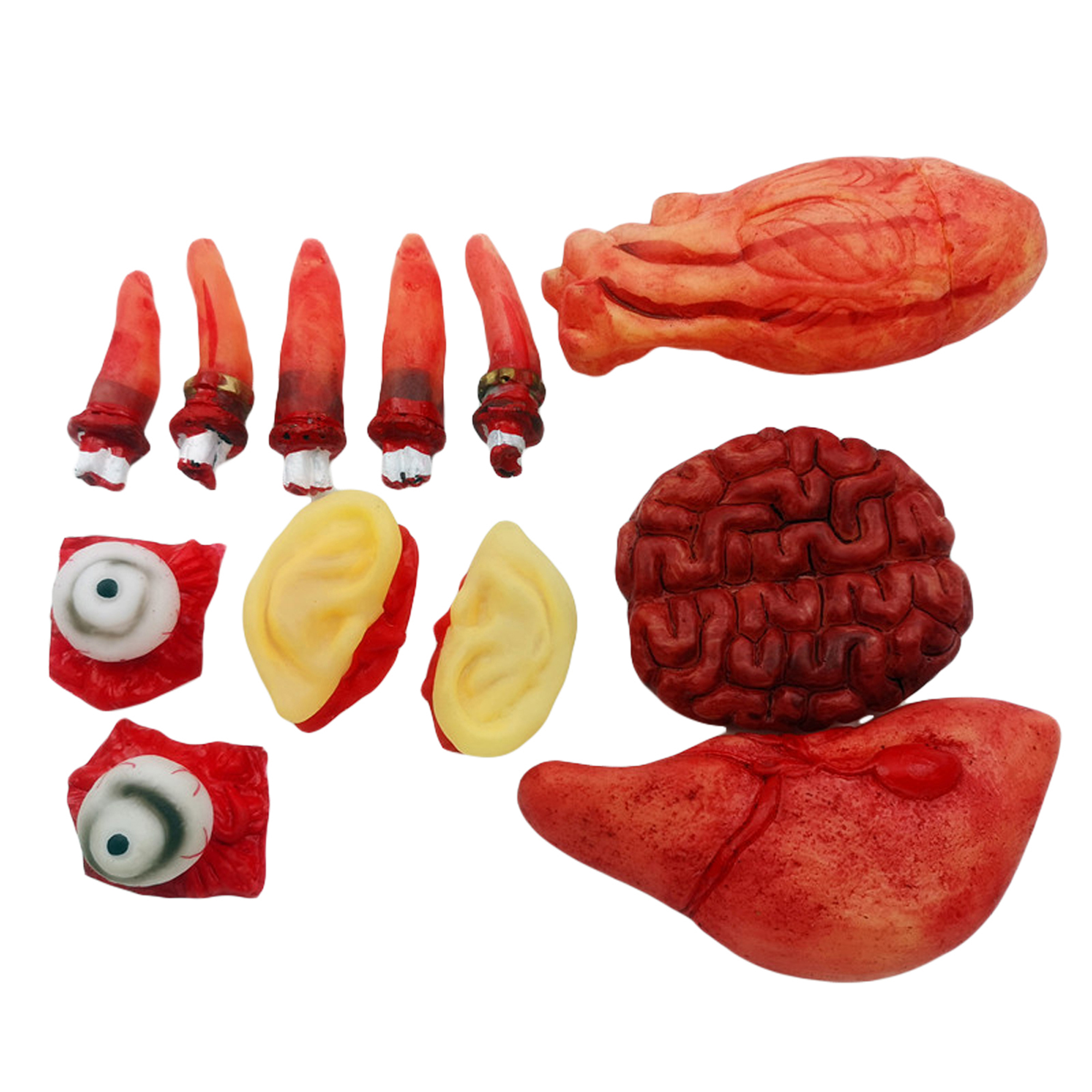 nvzhuang Halloween Scary Human Organ Props Bloody Realistic Body Parts ...