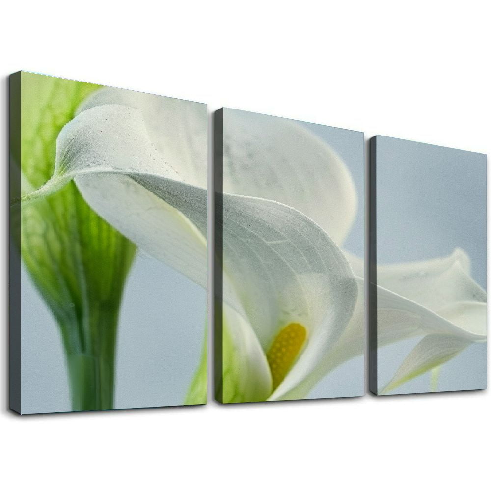 nygtbtfer Canvas Print Wall Art Set White Calla Lily Close Up Collage ...
