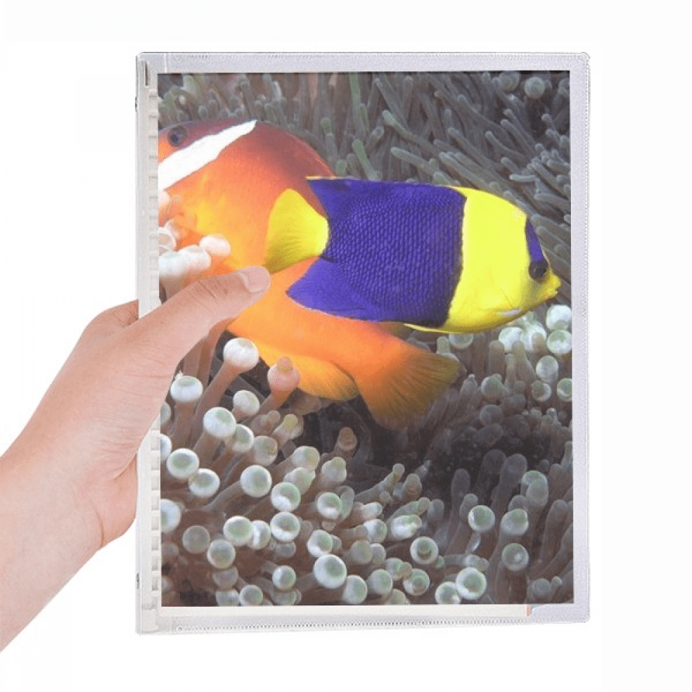 ocean anem fish nature picture notebook loose diary refillable journal ...