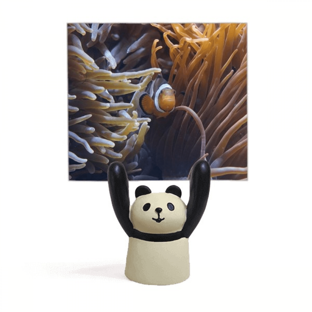 ocean anem fish science nature Memo Holder Cartoon Animal Panda Stand ...