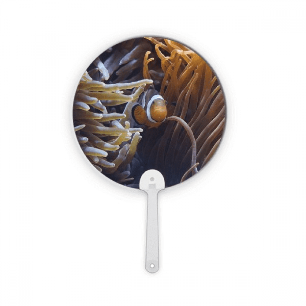 ocean anem fish science nature Plastic Round Handheld Fan Decorations ...