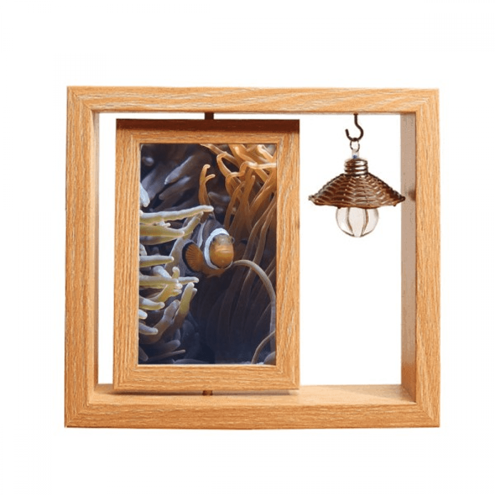 ocean anem fish science nature Wooden Rotating Picture Photo Frame 4x6 ...