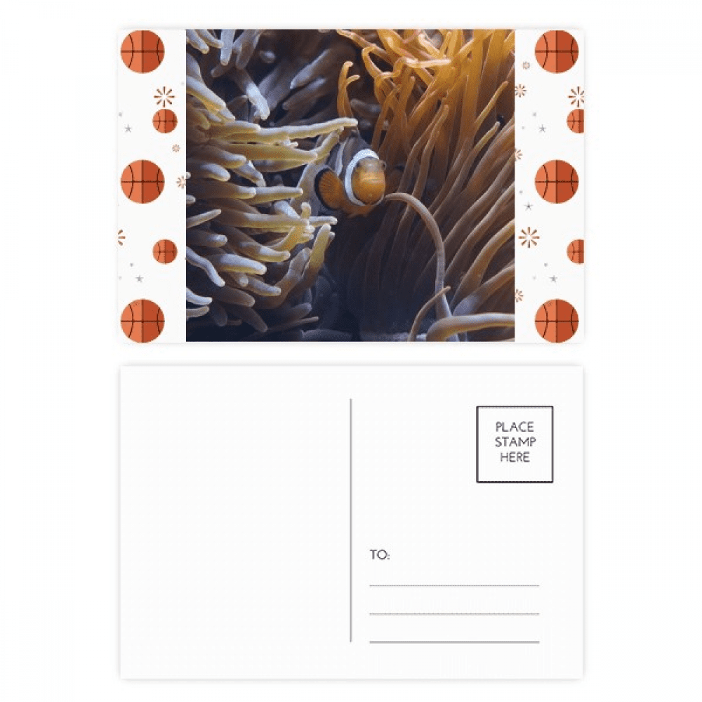 ocean anem fish science nature basketball postcard set thanks card ...