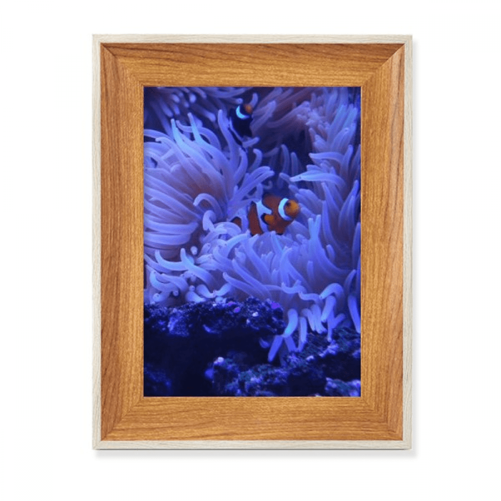 ocean anem fish science nature picture desktop wooden photo frame ...