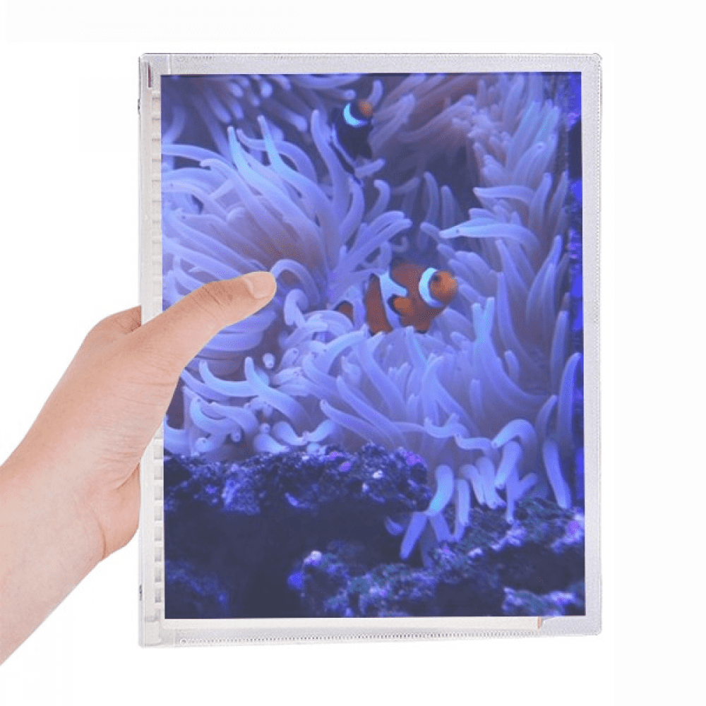 ocean anem fish science nature picture notebook loose diary refillable ...