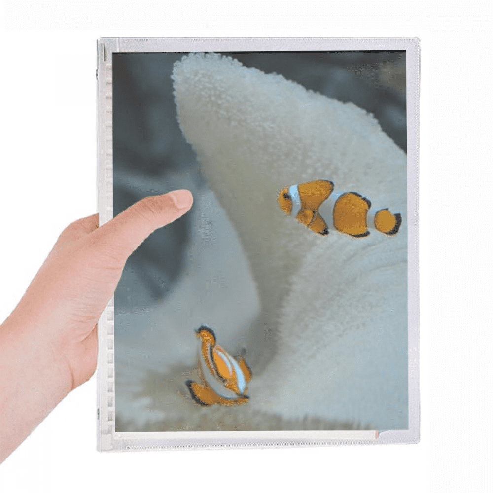 ocean clownfish fish science nature picture notebook loose diary ...