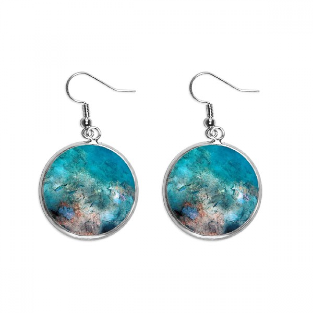 ocean colorful fish science nature picture ear dangle silver drop ear ...