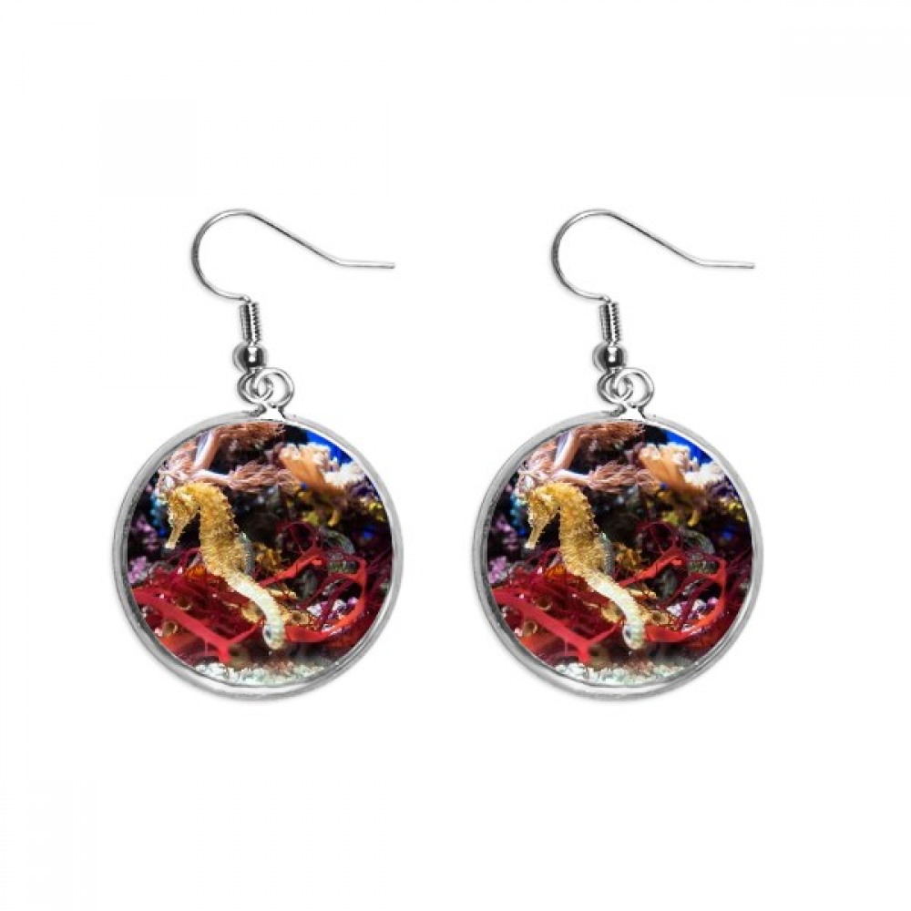 ocean deep water blue hippocampus water ear dangle silver drop ear ...