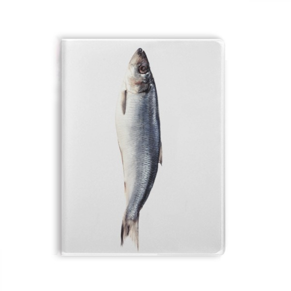 ocean fish activity long enlnotebook gum cover diary soft cover journal ...