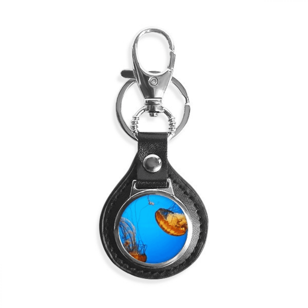ocean jellyfish science nature picture key link chain keyholder finder ...