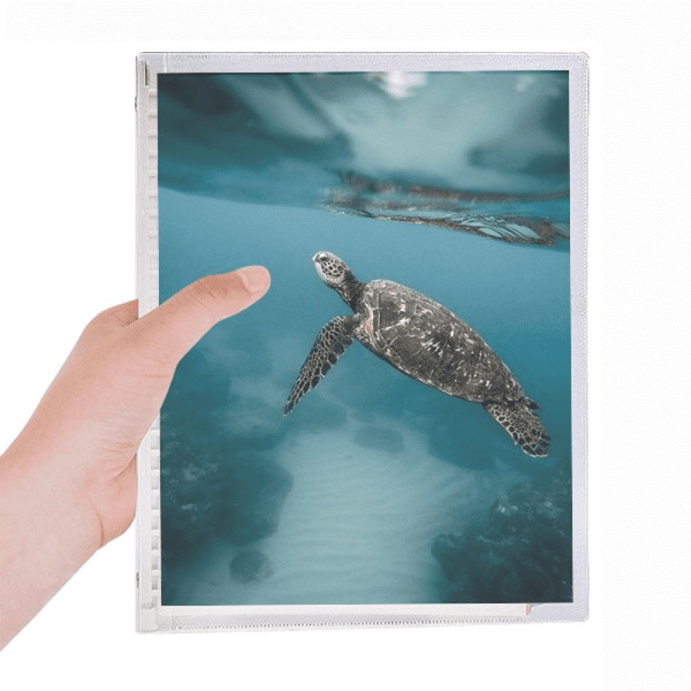 ocean sea turtle science nature picture notebook loose diary refillable ...