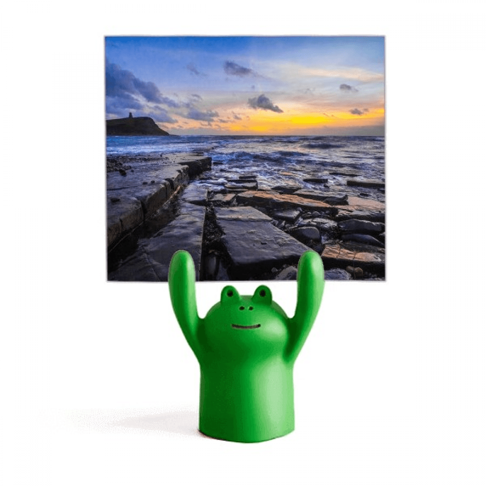 ocean st water science nature picture Memo Holder Cartoon Animal Frog ...