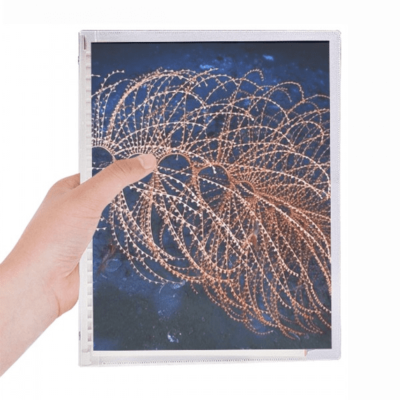 ocean water line science nature picture notebook loose diary refillable ...