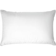 Holiday Inn Express Pillows