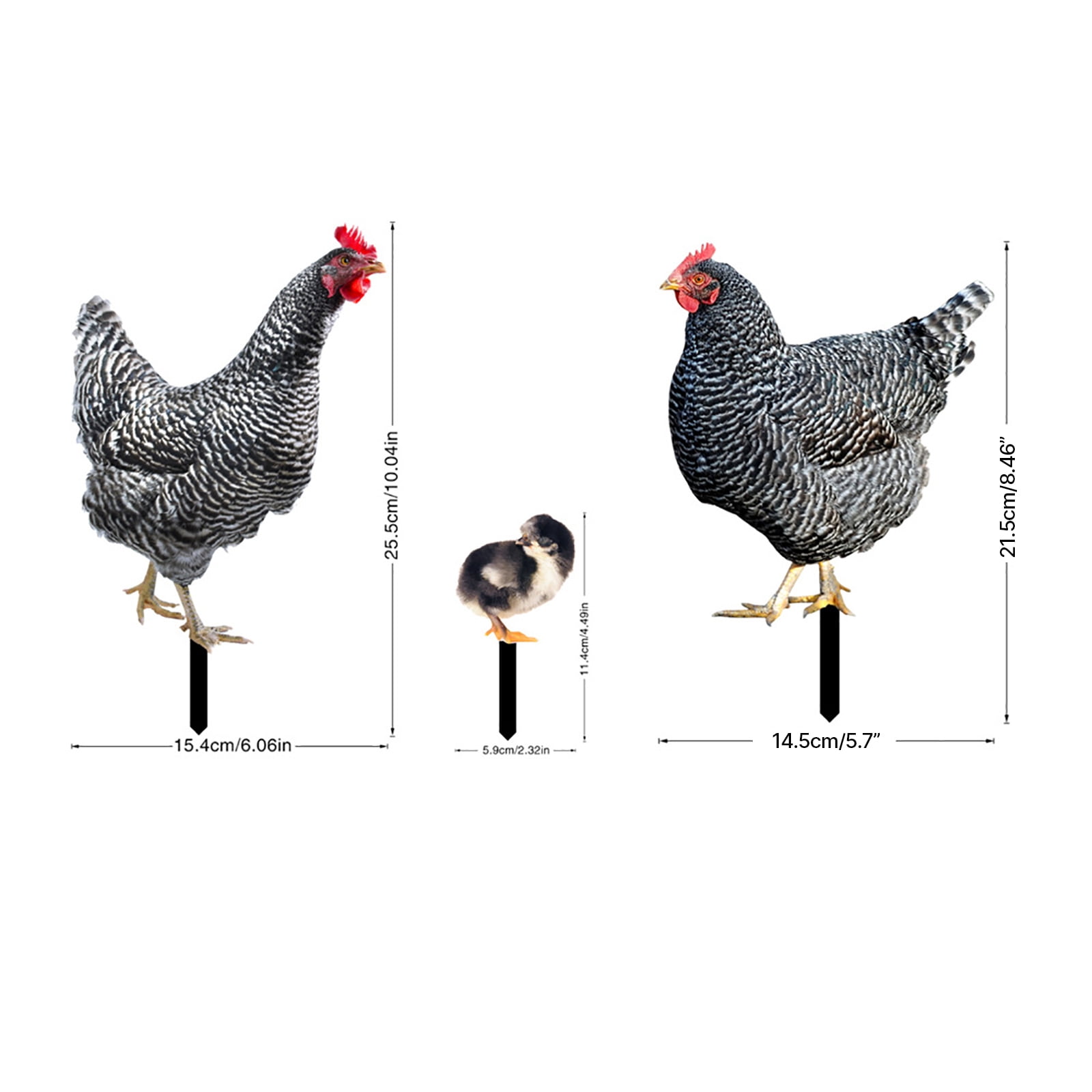 ohodhmnu Rooster Hen Decorative Garden Stakes Outdoor Garden Decoration ...