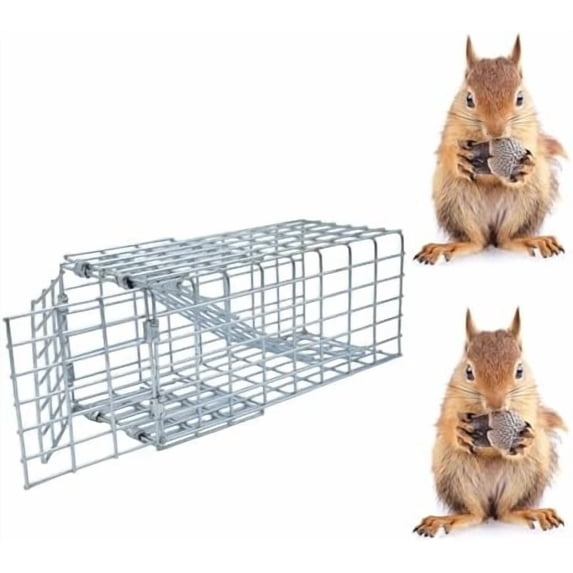 one Way Door Squirrel|Traps Alternative|one Way Door Squirrel|Squirrel ...