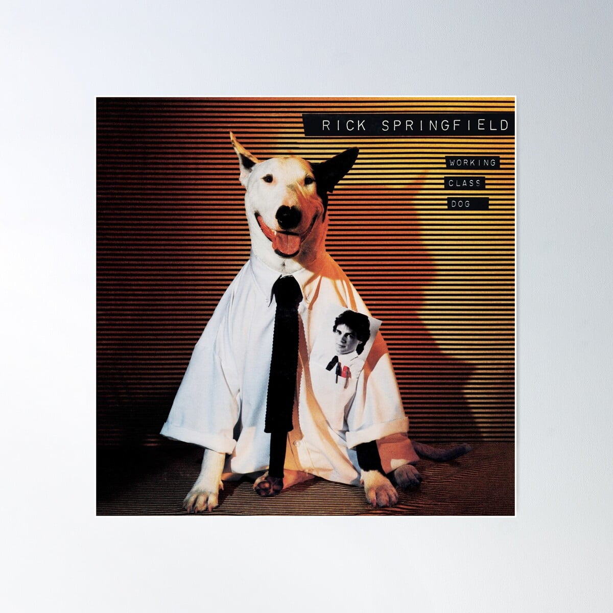 only dog of Rick 40 Years of Working Class Dog Springfield U.S. US ...
