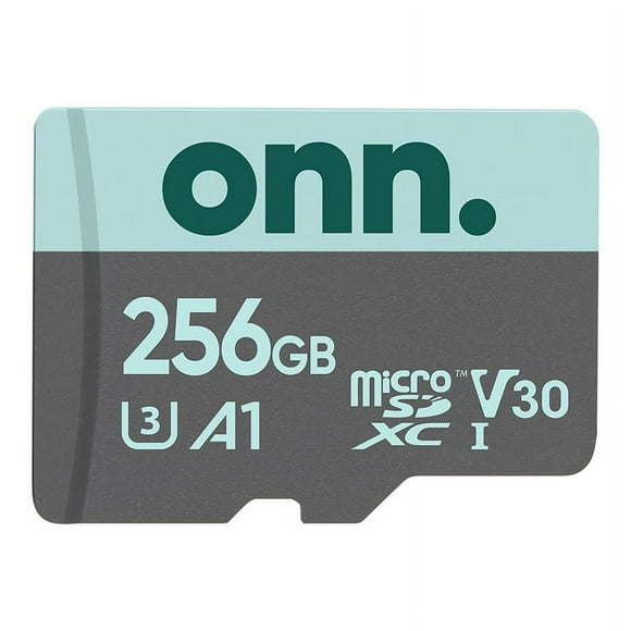 256 GB Memory Cards