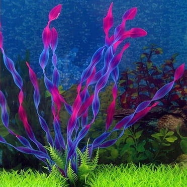 Aquarium Water Grass Seeds for Fish Tank | 100+ Seeds | Decoration ...