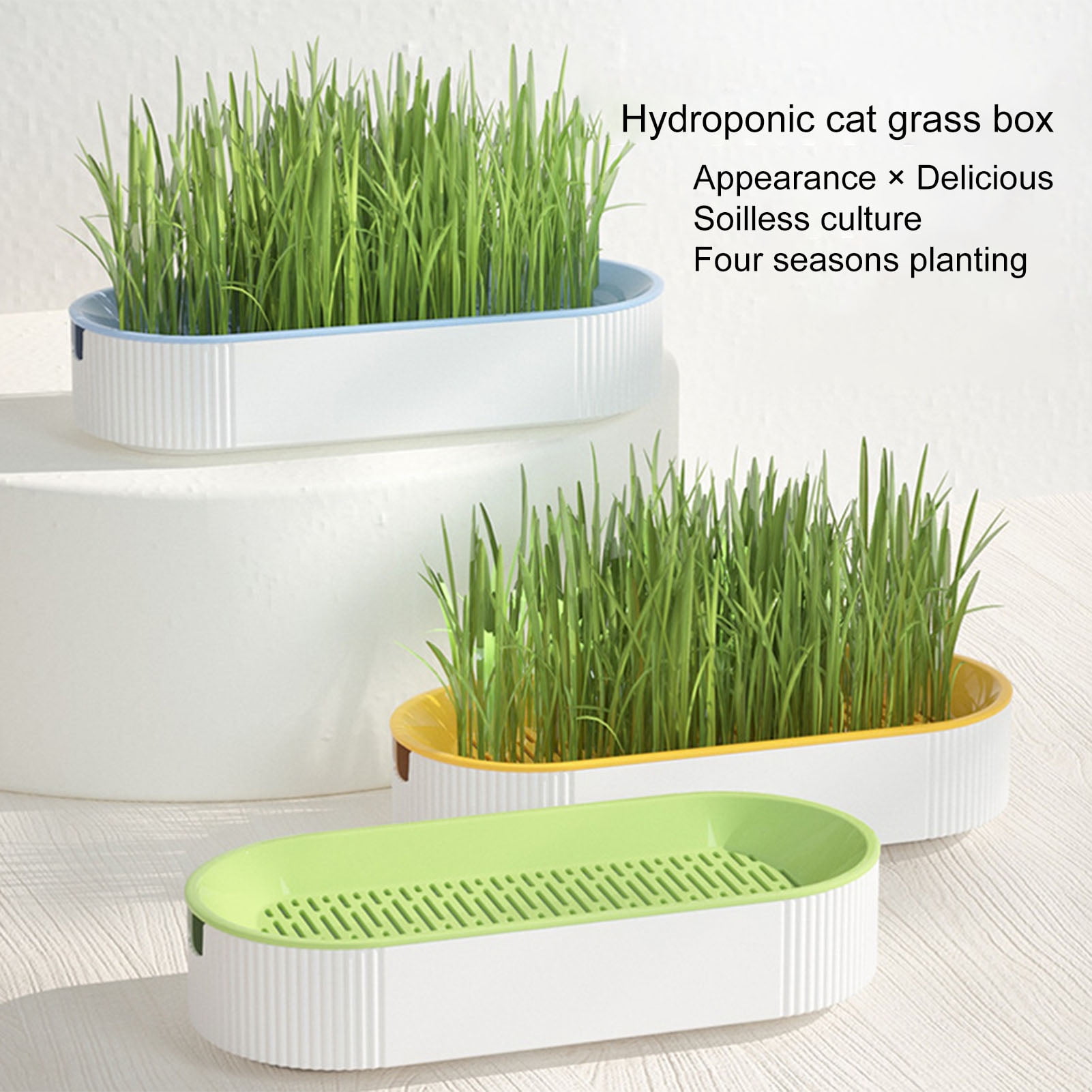 opvise Cat Grass Planter Soilless Planting Visible Water Level Drain ...