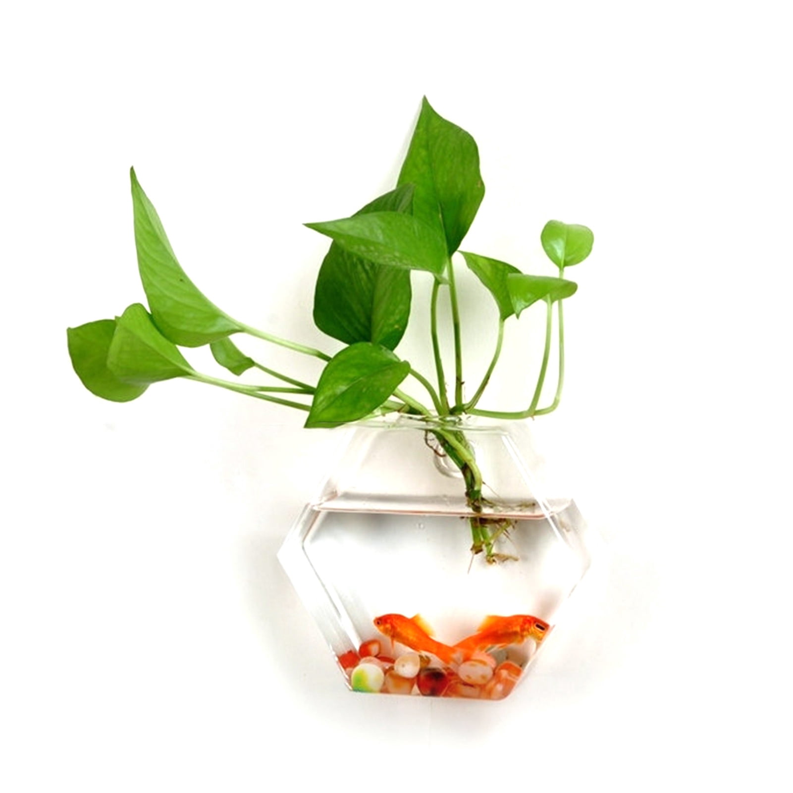 opvise Hydroponic Vase Flower Water Drop Heart Shape Transparent Wall ...