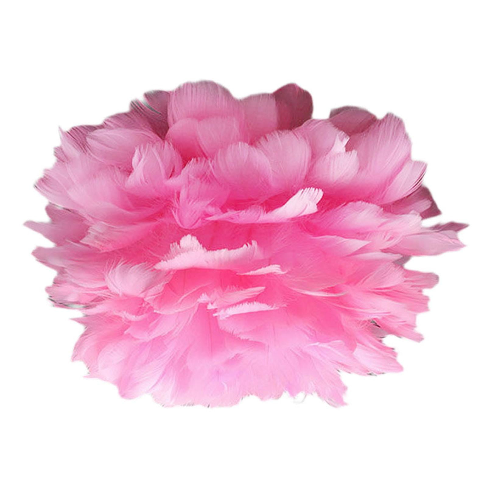 oshhnii Artificial Feather Light Shade Lamp Shade for E27 Bulb Floor ...