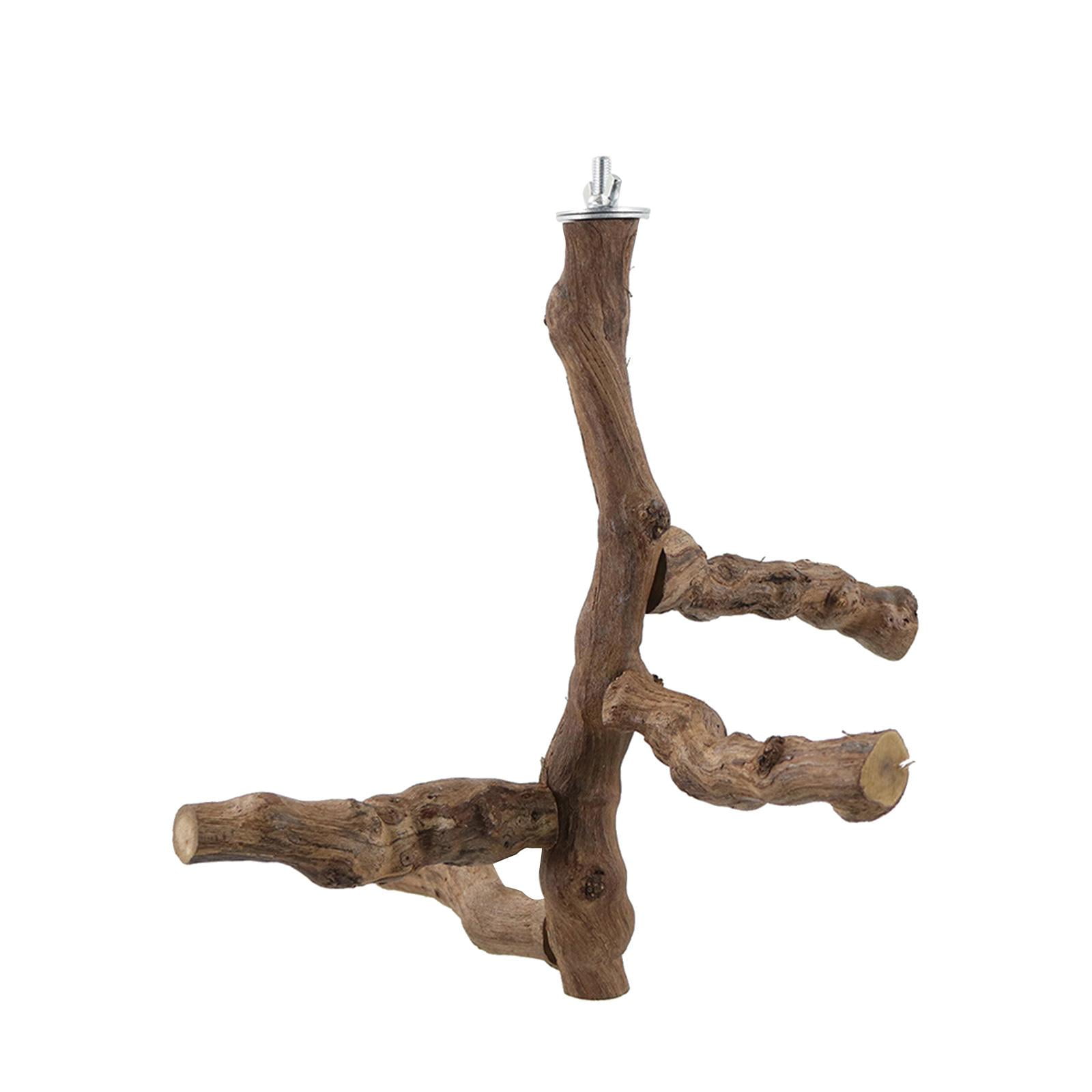 oshhnii Bird Perch Activity Center Multi Branch Perch for Conures ...