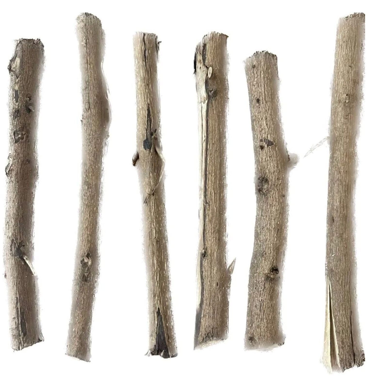 Palo Vencedor (6 Sticks) - Madera Palos Santeria, Natural 5-6" Largo ...