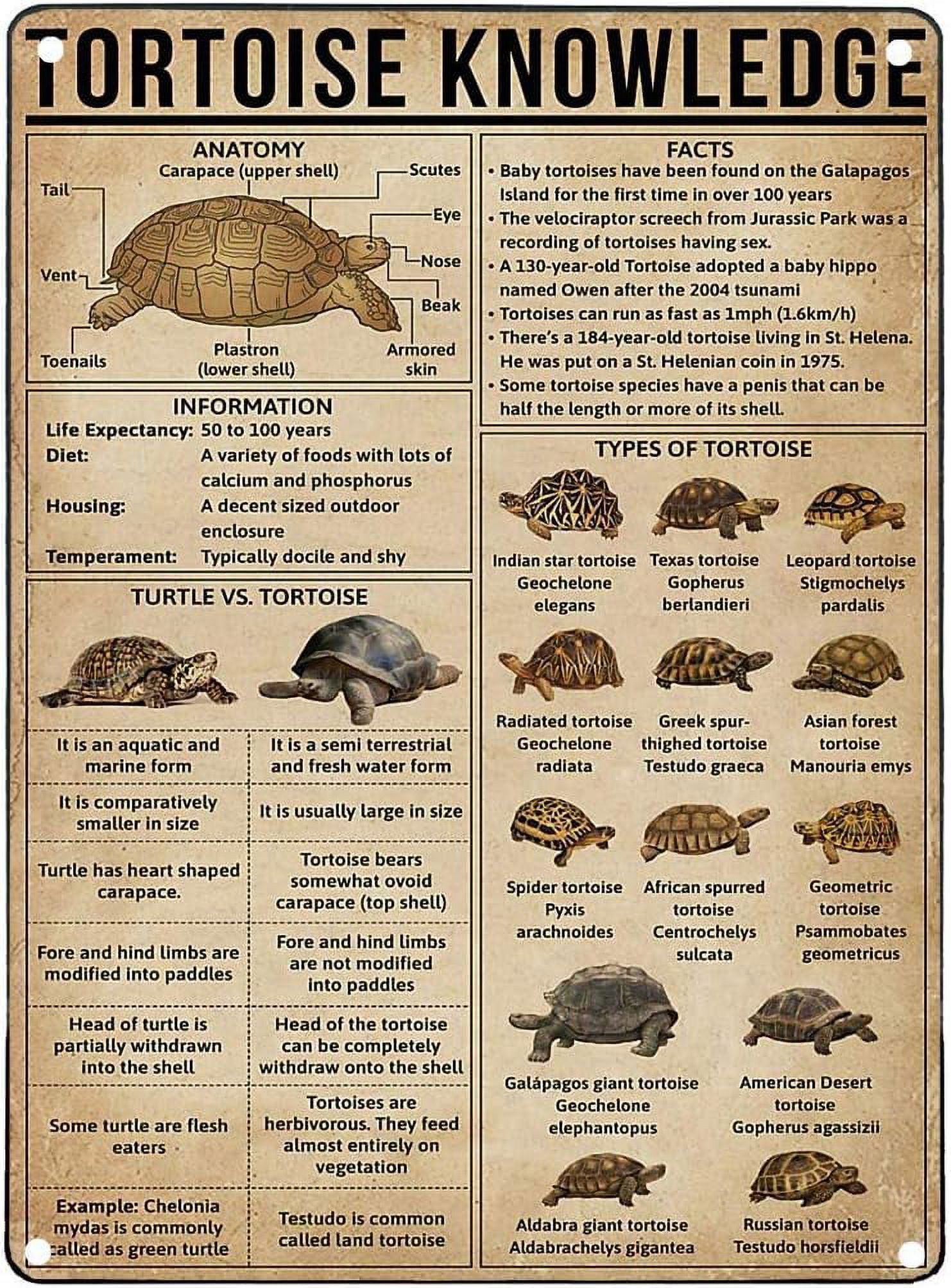 parton Metal Sign Angels Don't Always Have Wings Sometimes They Have ...