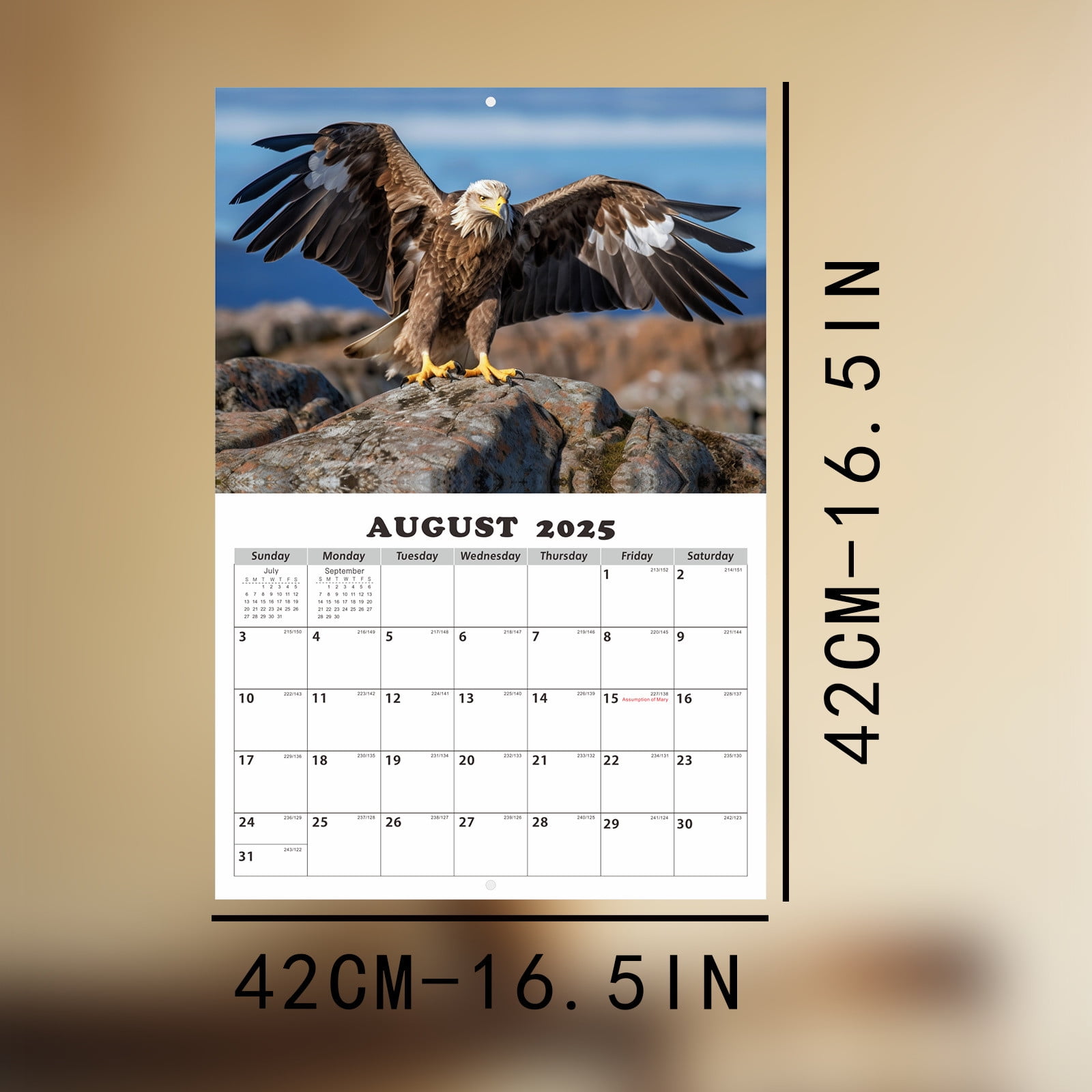 pathside 12-monthCalendar Wall Calendar From May 2025 To January 2026.1 for Home Office School ...