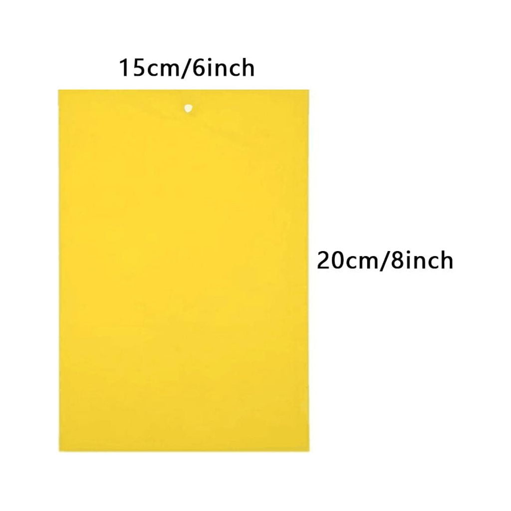 pdqouc Kensizer 20 Pcs Fruit Fly Trap, Yellow Sticky Gnat TrapsKiller ...