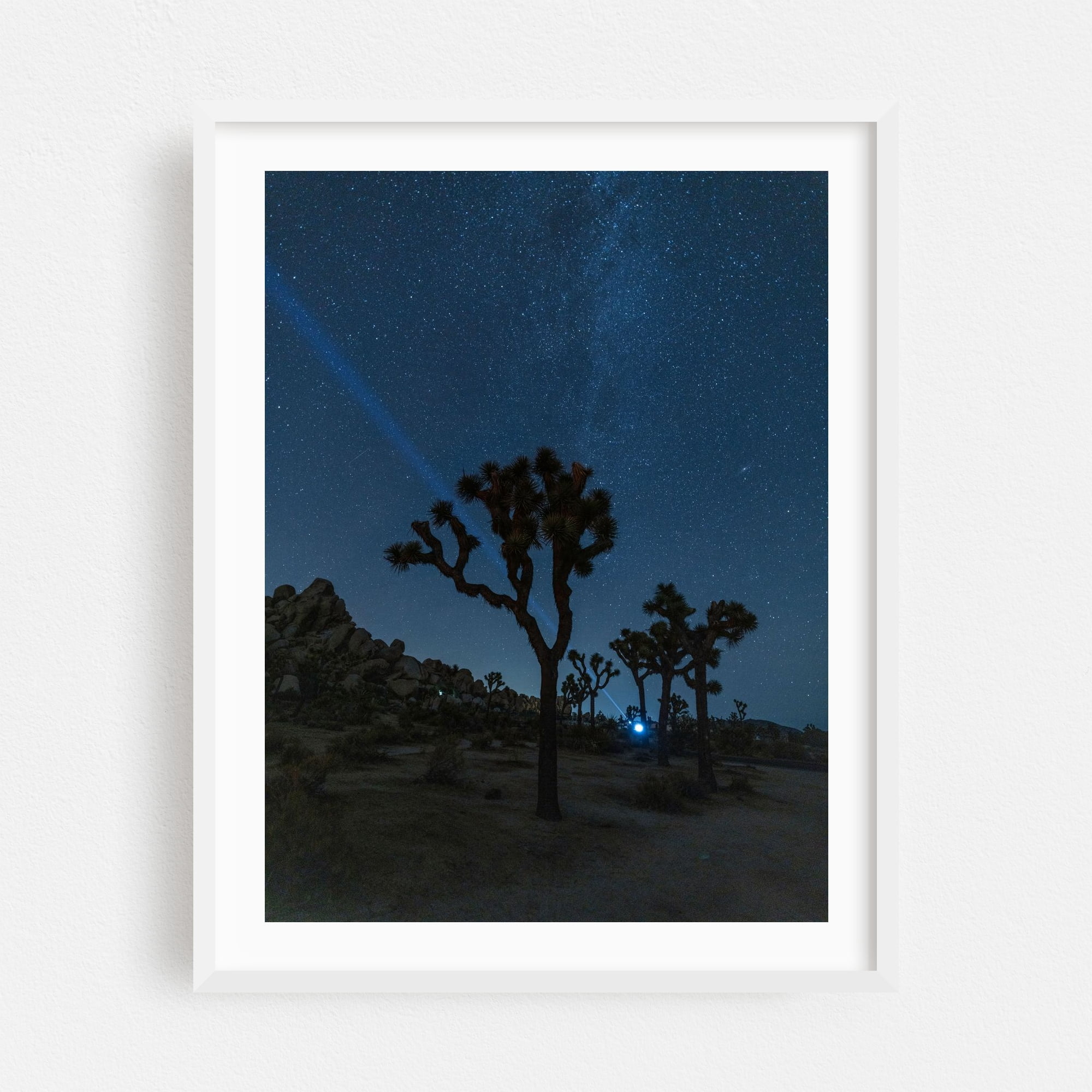 A peaceful night under a vast starry sky - Joshua Tree California ...