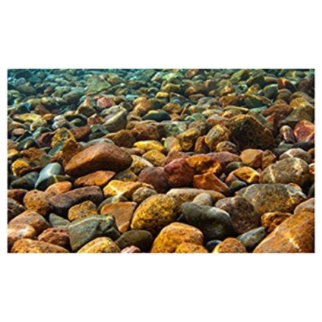 penn-plax lenticular background-lb5 - Walmart.com