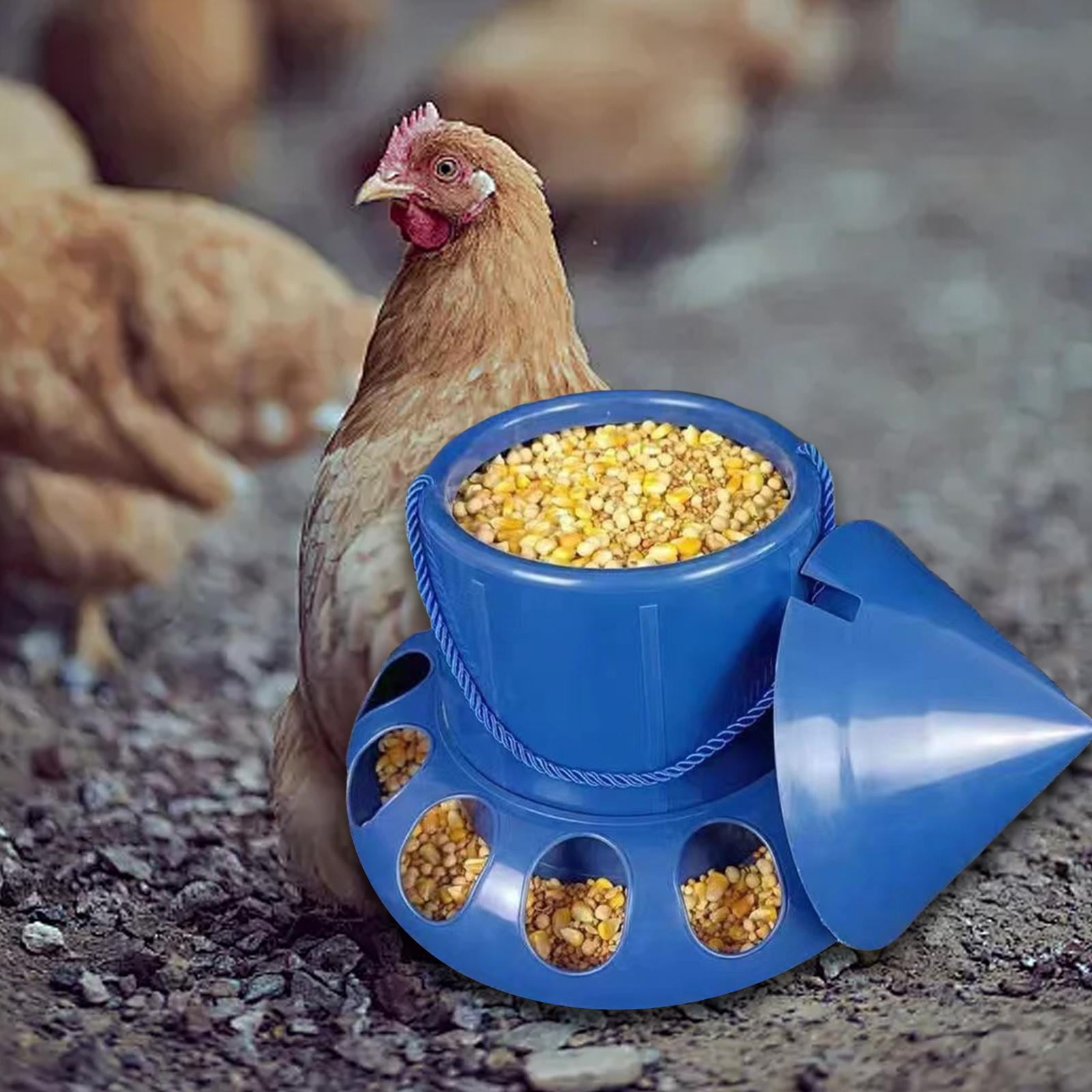 perfeclan Chicken Feeder Food Container Chicken Coop Accessories ...