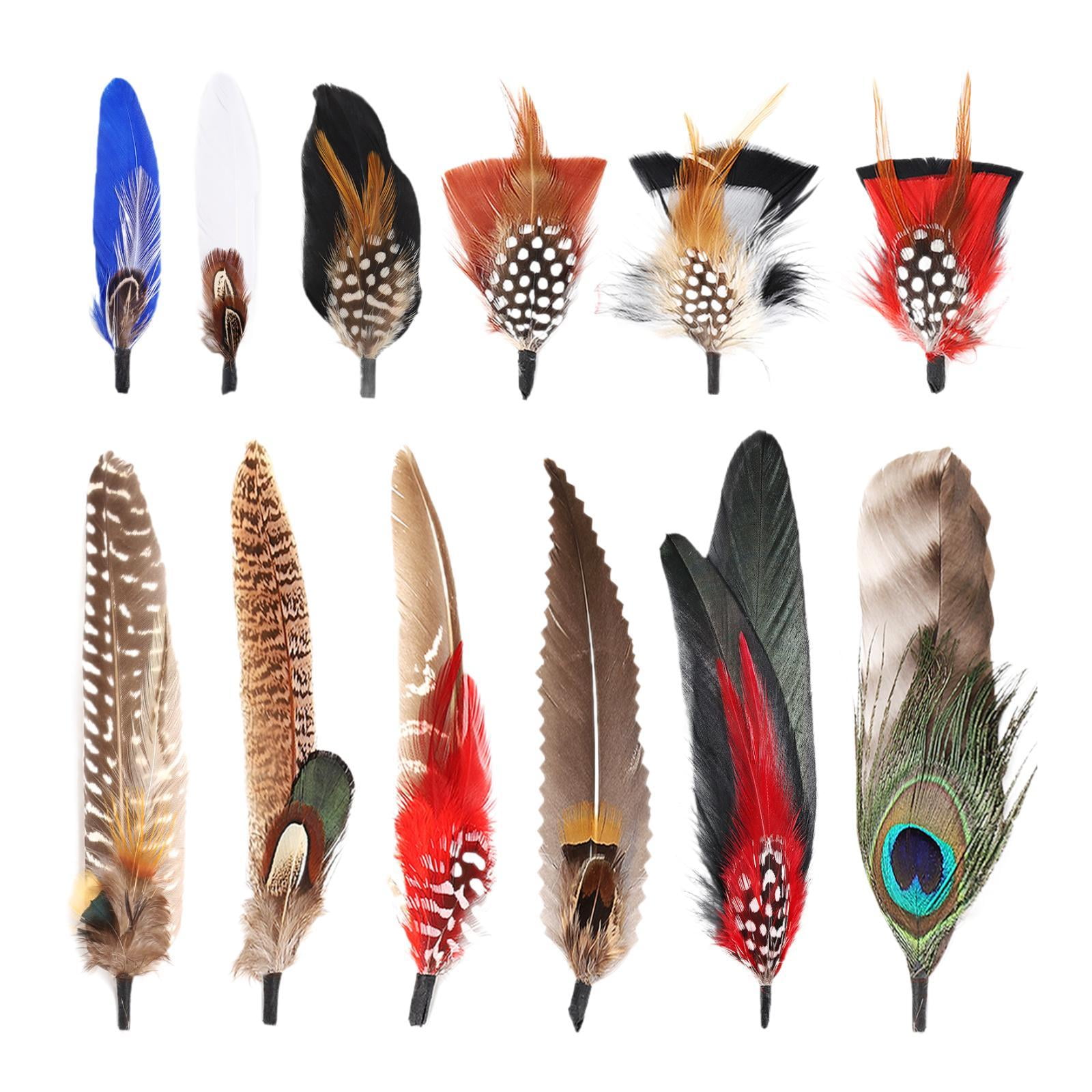 perfeclan Hat Feathers Assorted Feather Packs Accessories for Fedora ...