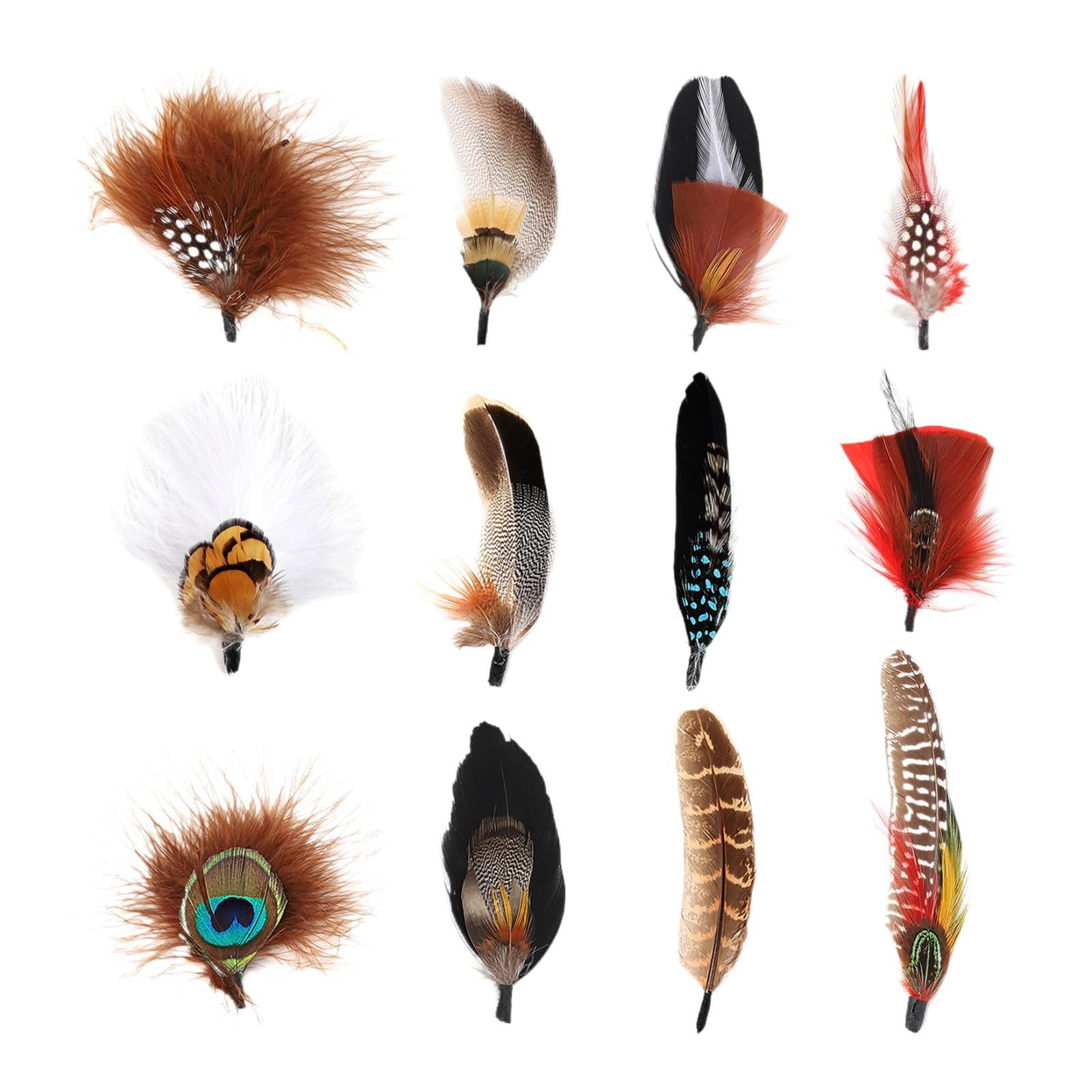perfeclan Hat Feathers Assorted Feather Packs Accessories for Fedora ...