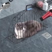 Cats Dogs Dryer Cage Pet Dryer Room House Grooming Low Noise Pet Drying ...