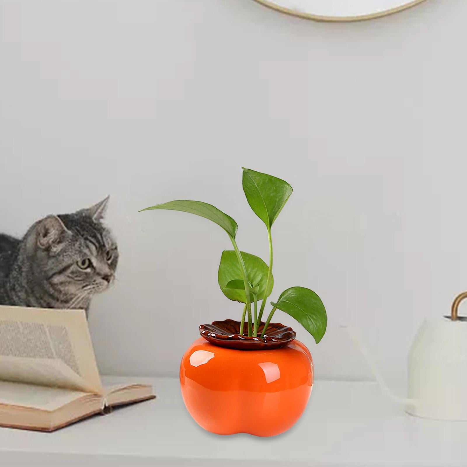 perfk Flower Pot Container Persimmon Vase for Living Room Garden Indoor ...