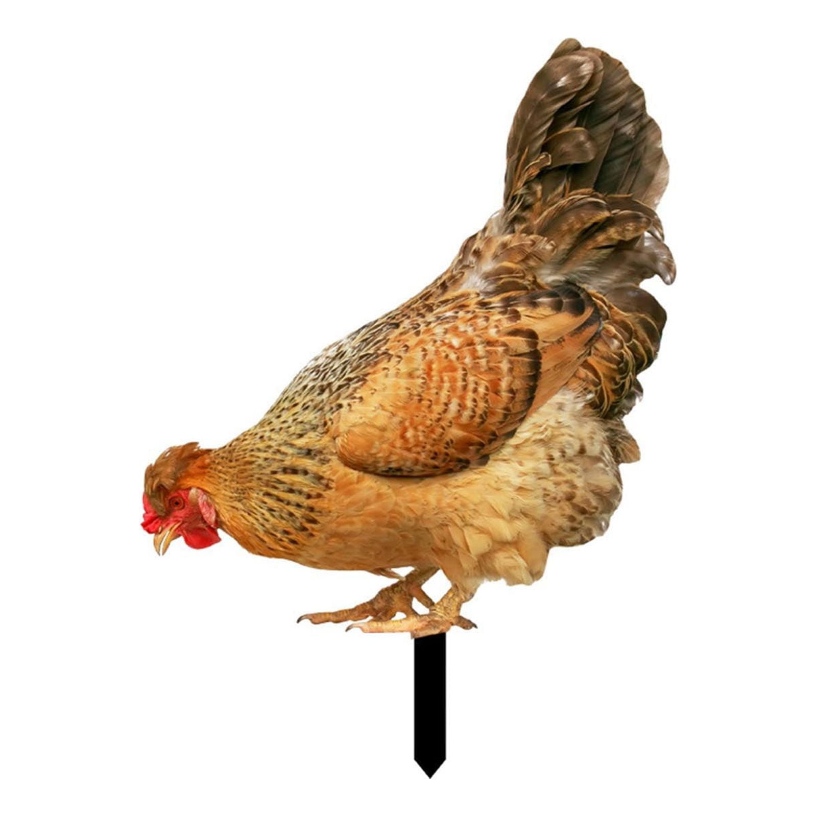 piaybook Garden Statues Hen Acrylic Outdoor Courtyard Insert Garden ...