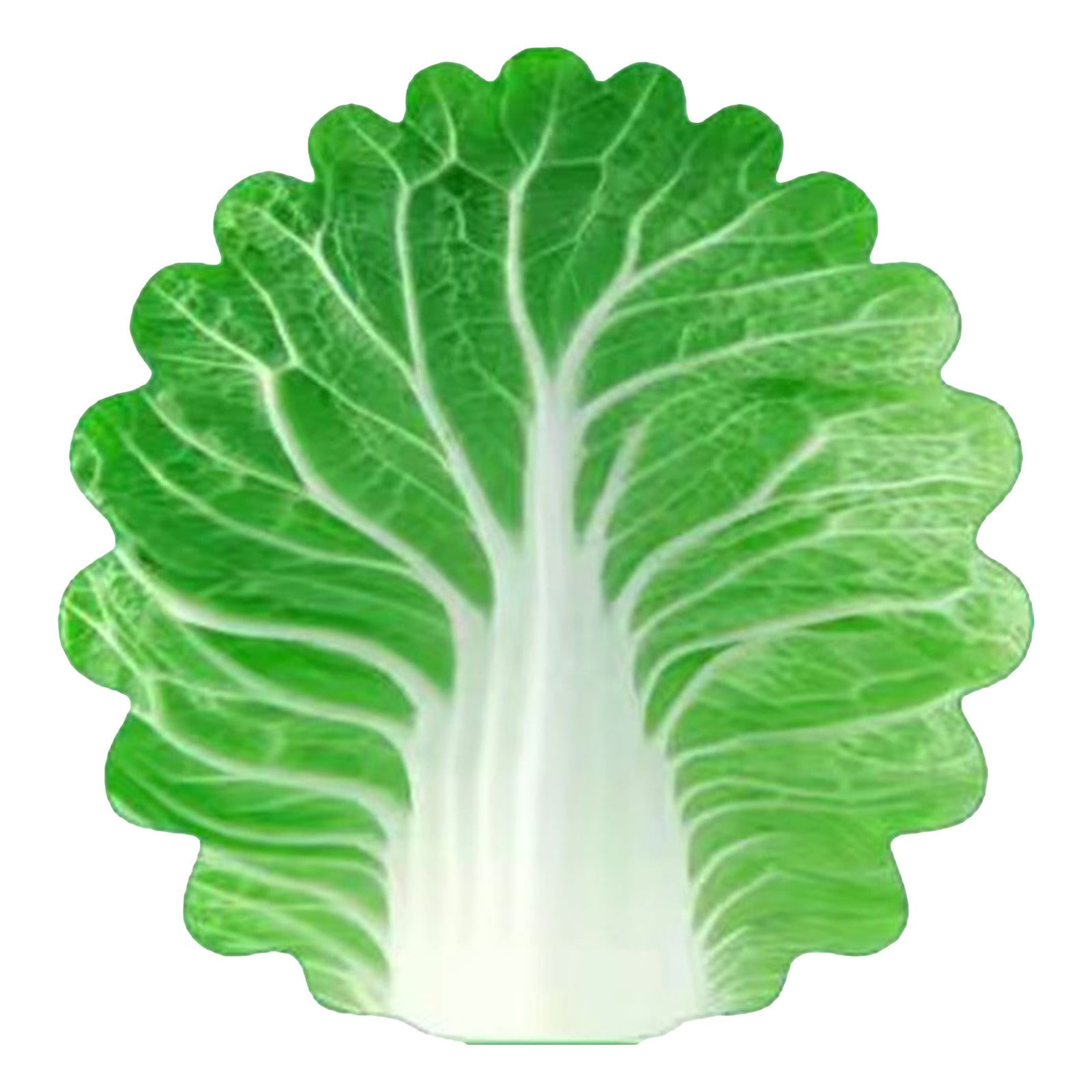 piaybook Throw Blanket Funny Nap Blanket Cabbage Blanket Cute Baby ...