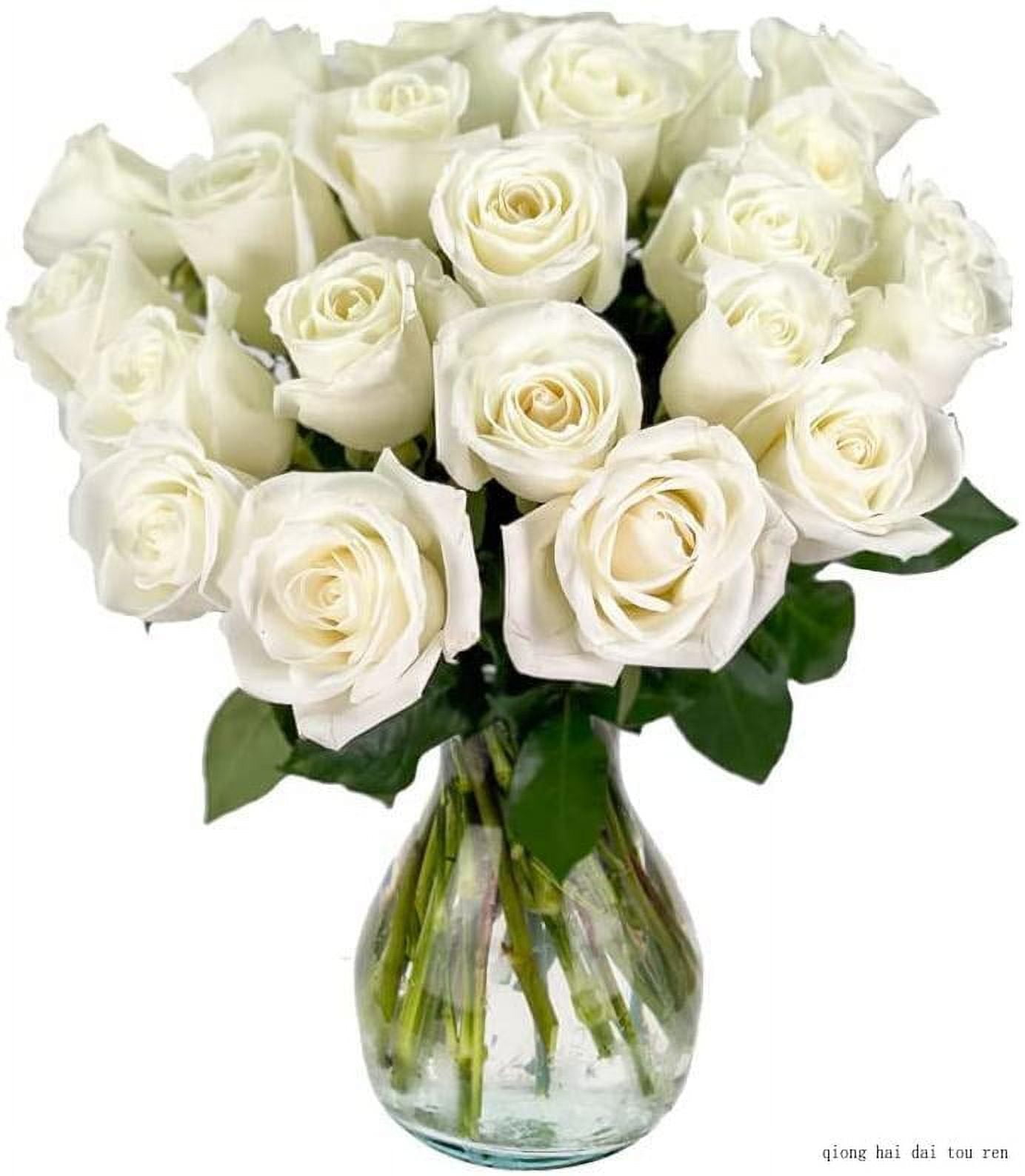 25 White Roses by Arabella Bouquets Fresh Flower Bouquet with Vase ...