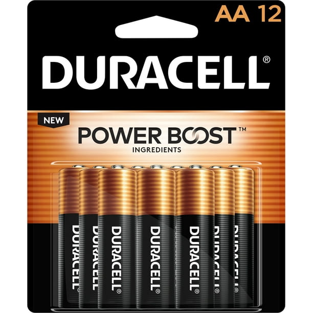 power Boost Coppertop Alkaline AA batteries 12/Pack MN15B12BCD ...