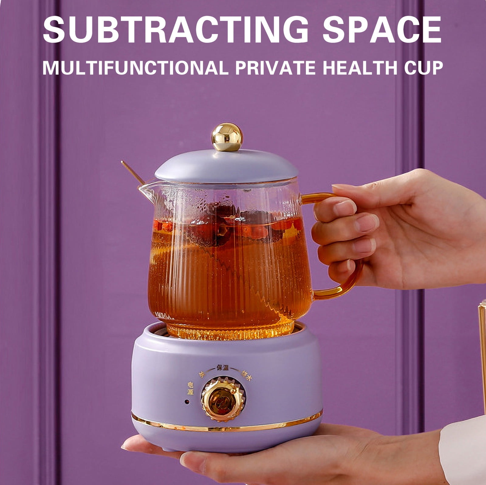 pvdgvd Multi-functional Health Kettle, 220V 360W with Two-speed ...