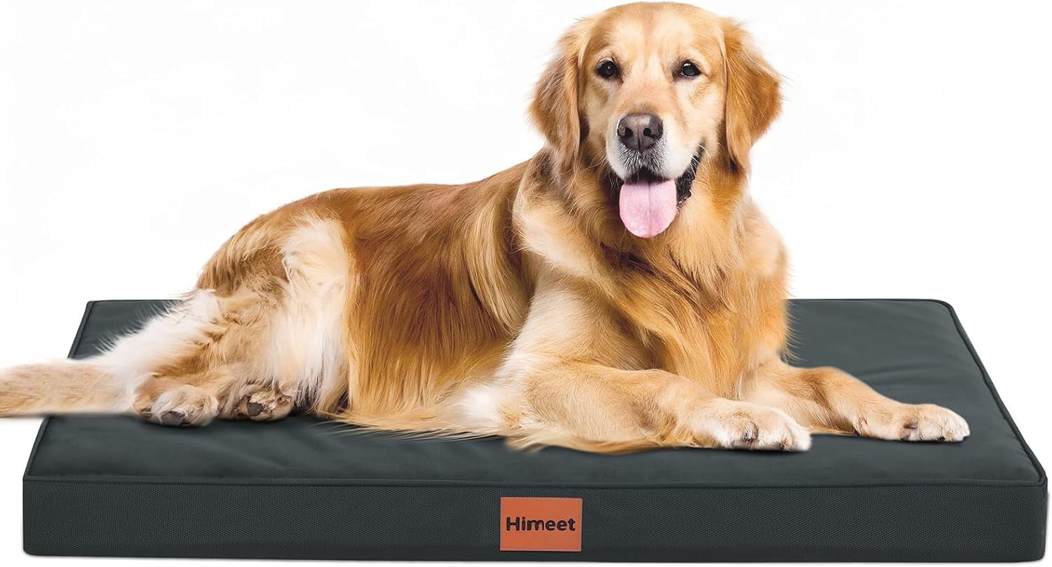 q- Outdoor Dog Bed Waterproof Washable with Removable Cover and Plastic ...