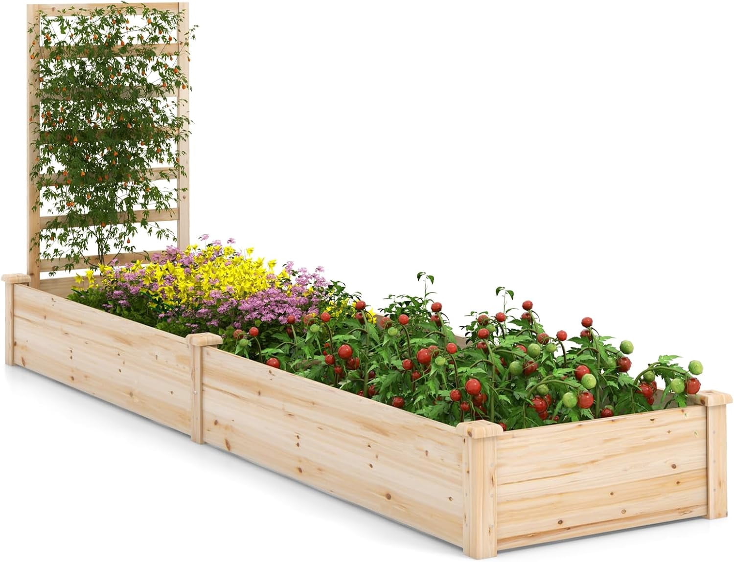 Q Raised Garden Bed With Trellis Wooden Garden Box With Divided Space